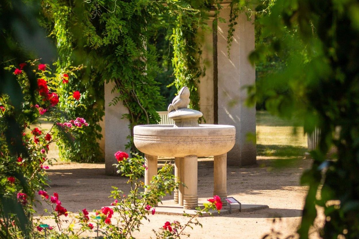 Stadt Forst (Lausitz) - Ostdeutscher Rosengarten Forst (Lausitz)